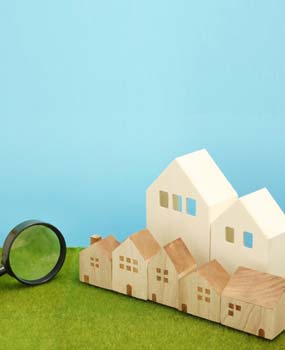 DGDC – Dominica Geothermal Development Company Ltd.